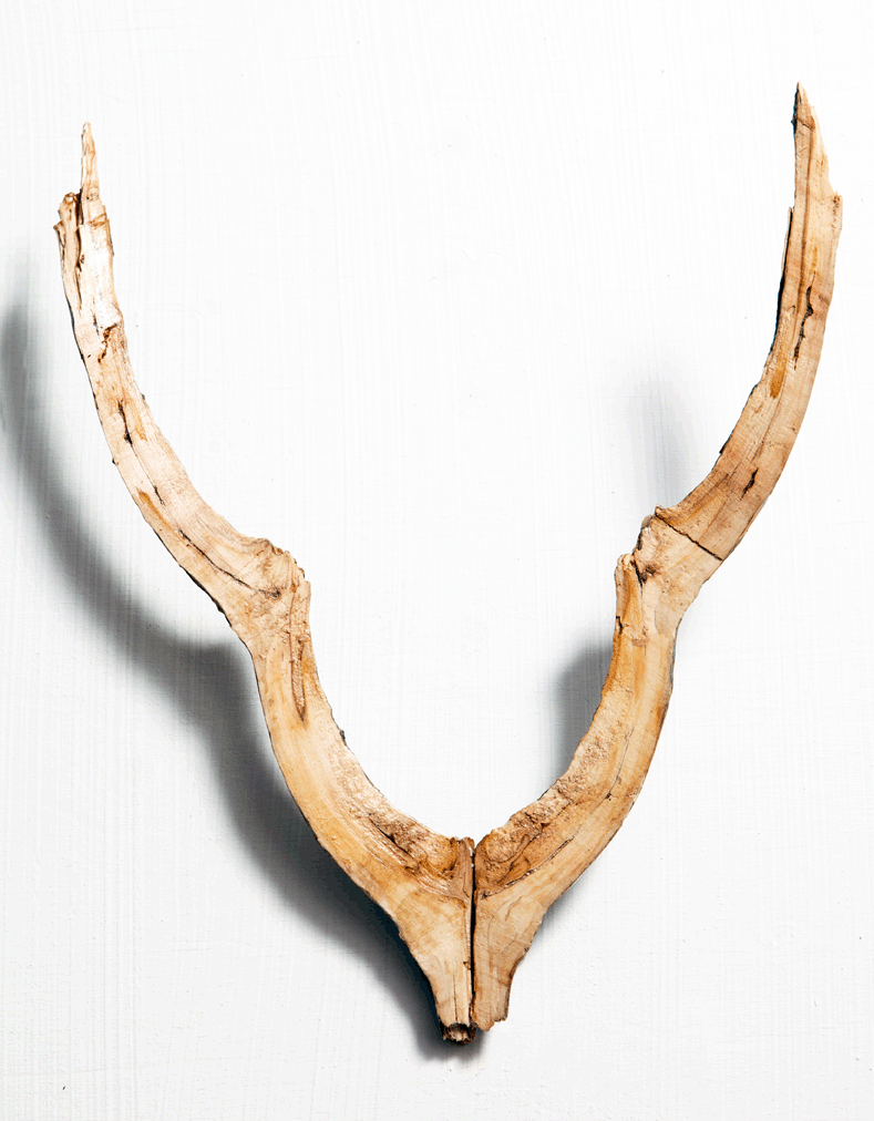 Geweldig Gewei: Geweldig Gewei Brons