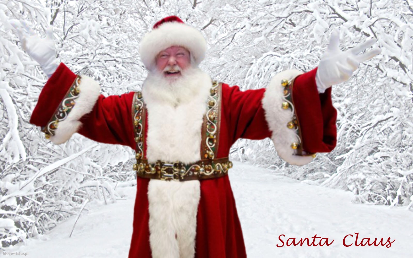 blogowisko.pl: Święty Mikołaj 2012