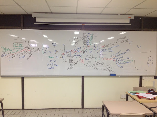 Learn to be a Mindmapper - Lim Choon Boo: REVISION MIND MAPS for Topics ...