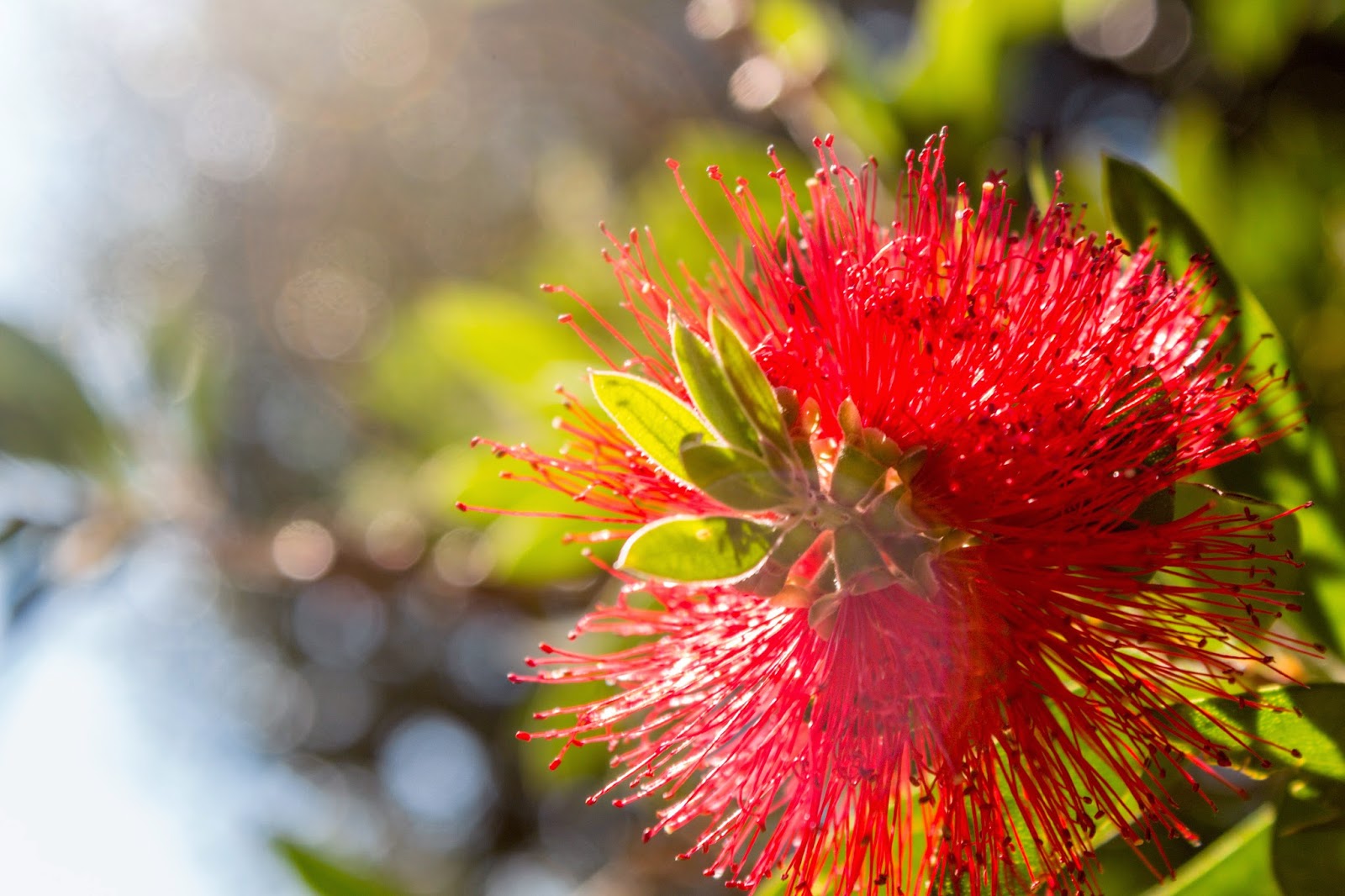 Lost in... The French Riviera (Cannes-Monaco) | The Flying Dutchwoman