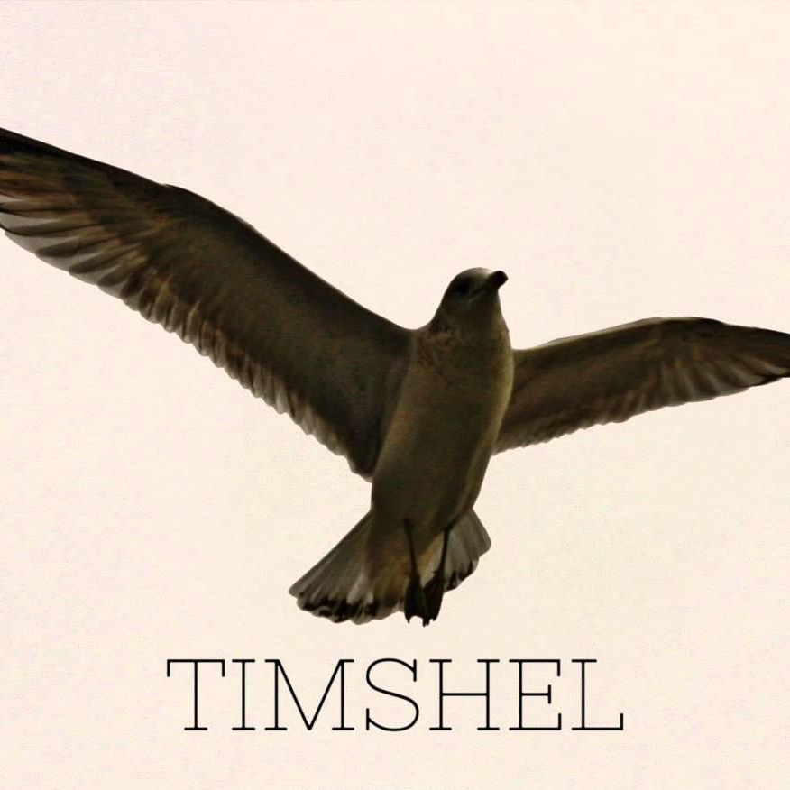 The Liberal Pulpit: Can't Get To Freedom By Ourselves