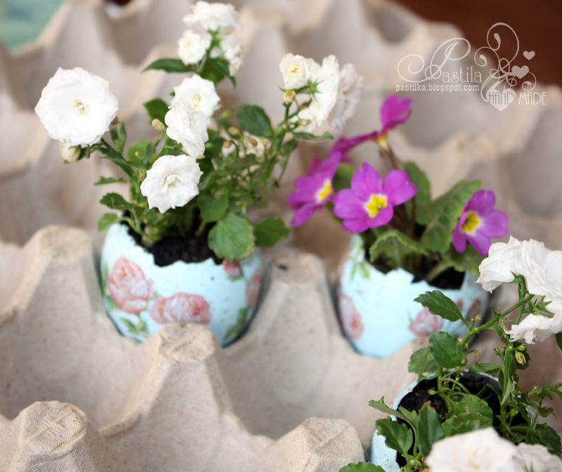 Imaginarium Designs: Flower pots from eggshells (tutorial) and a card ...