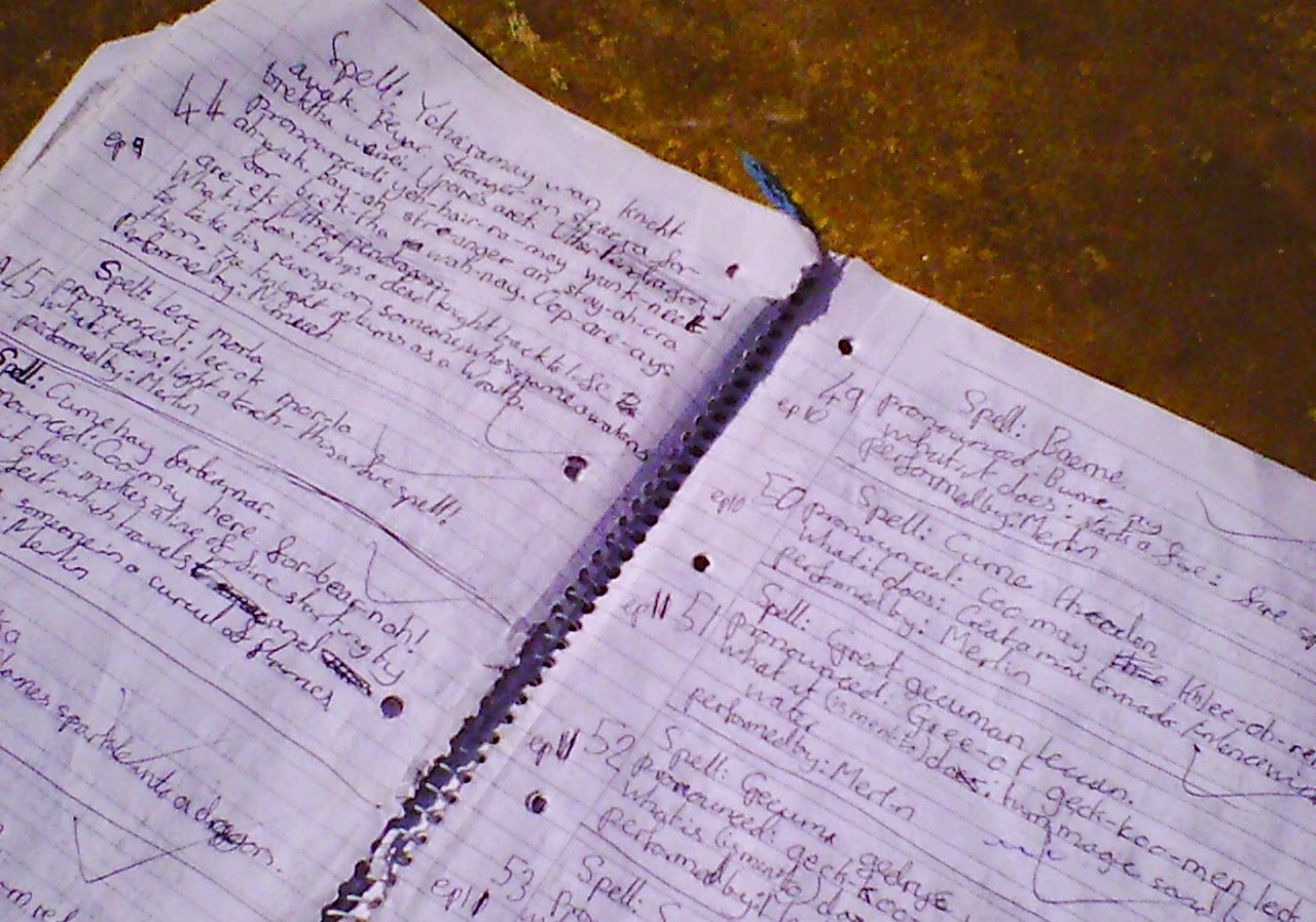 The Merlin Mega Fan: A Book of Magic