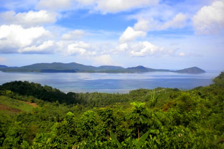 Palawan Place: Palawan View