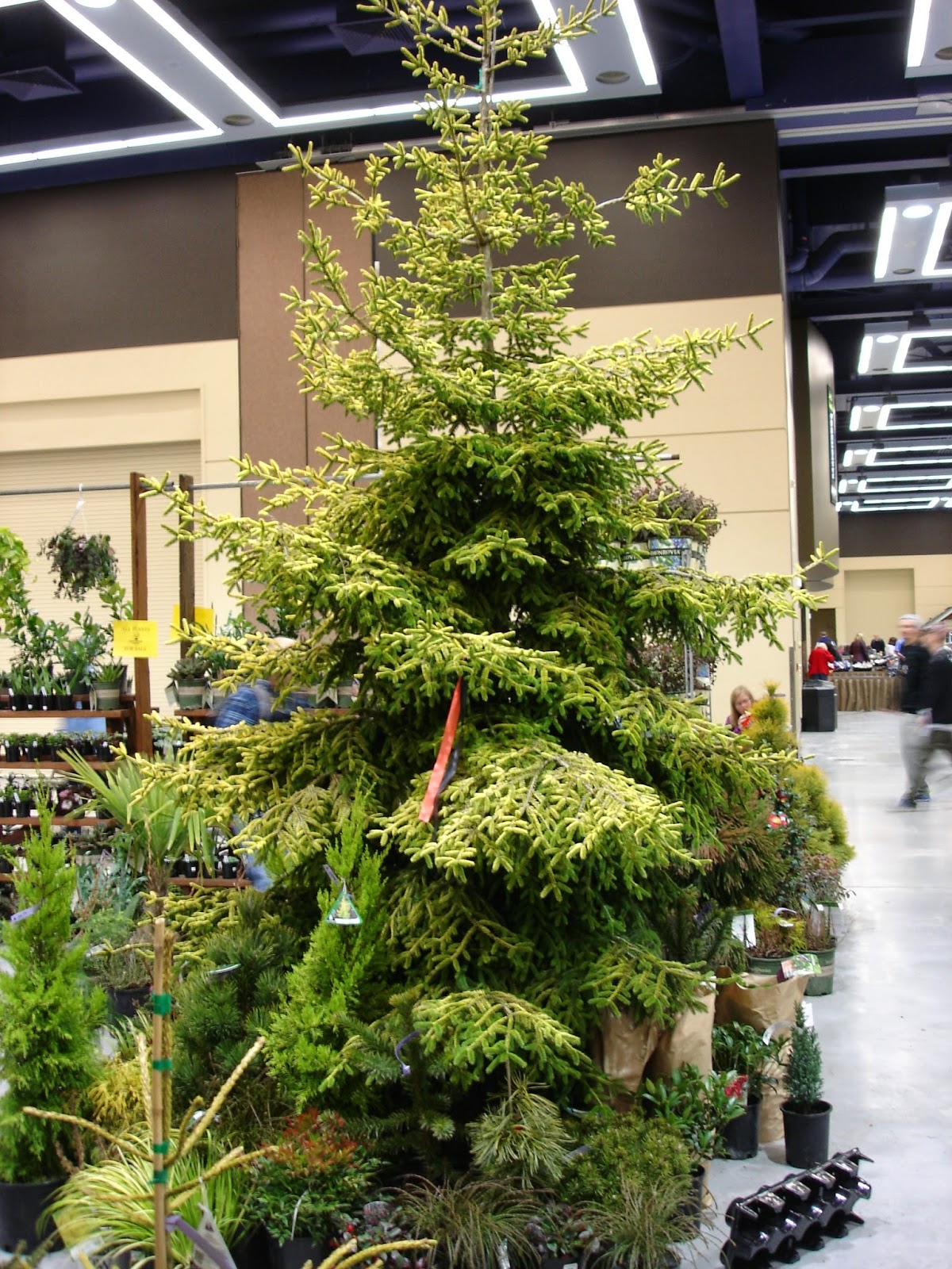 Beacons in the Landscape – Plant Something Oregon