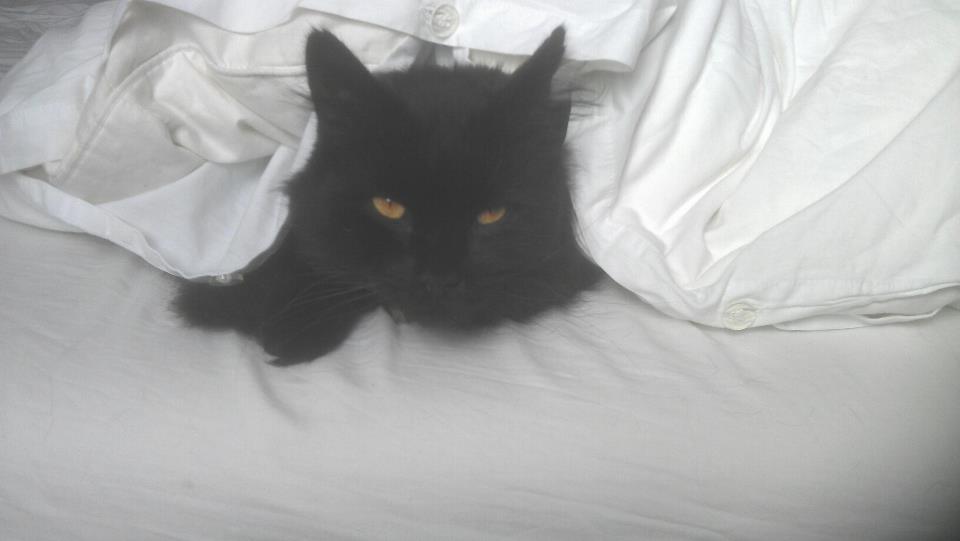 ROB SILVER: September 2012