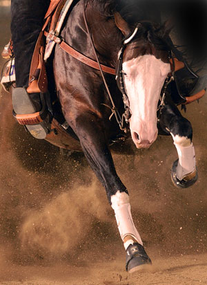 MAURO PENZA REINING NEWS: SPOOKS GOTTA GUN, MILLION DOLLAR SIRE