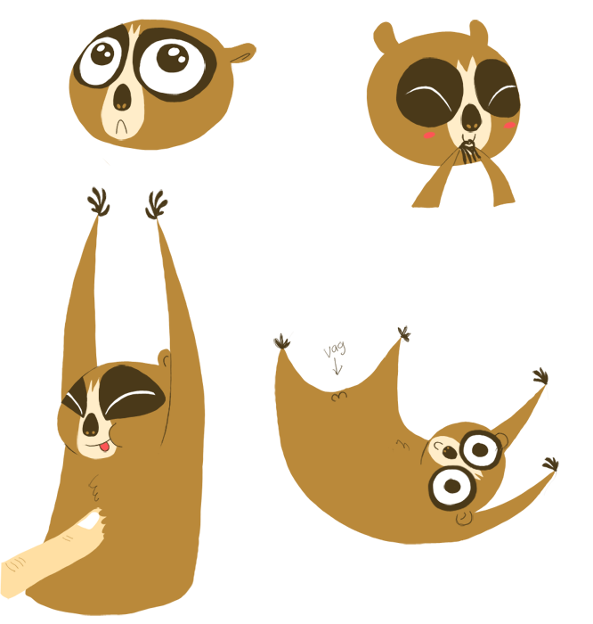 es & her imaginary friends: More Slow Loris design experimentation