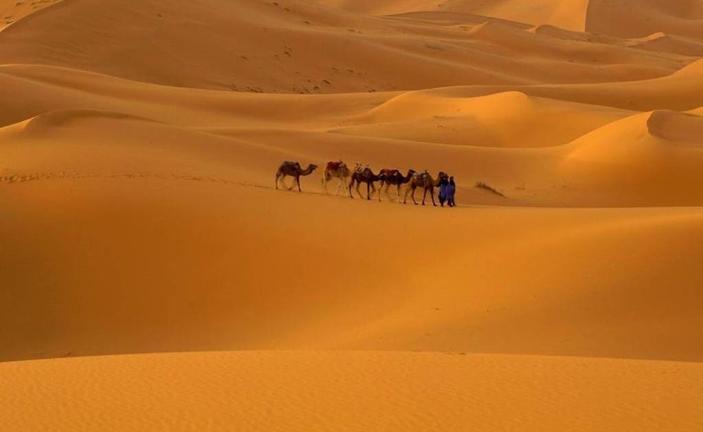 Viajo Tanto: Deserto do Saara - África - Tunísia