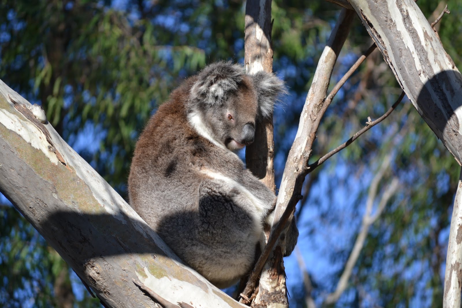 Eine Reise um die (halbe) Welt