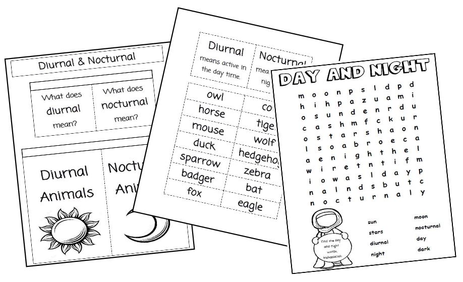 Iman's Homeschool ~ The Curriculum: Day & Night ~ Interactive Notebook ...