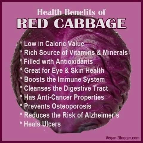 Health Benefits Of Red Cabbage