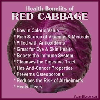 Health Benefits Of Red Cabbage