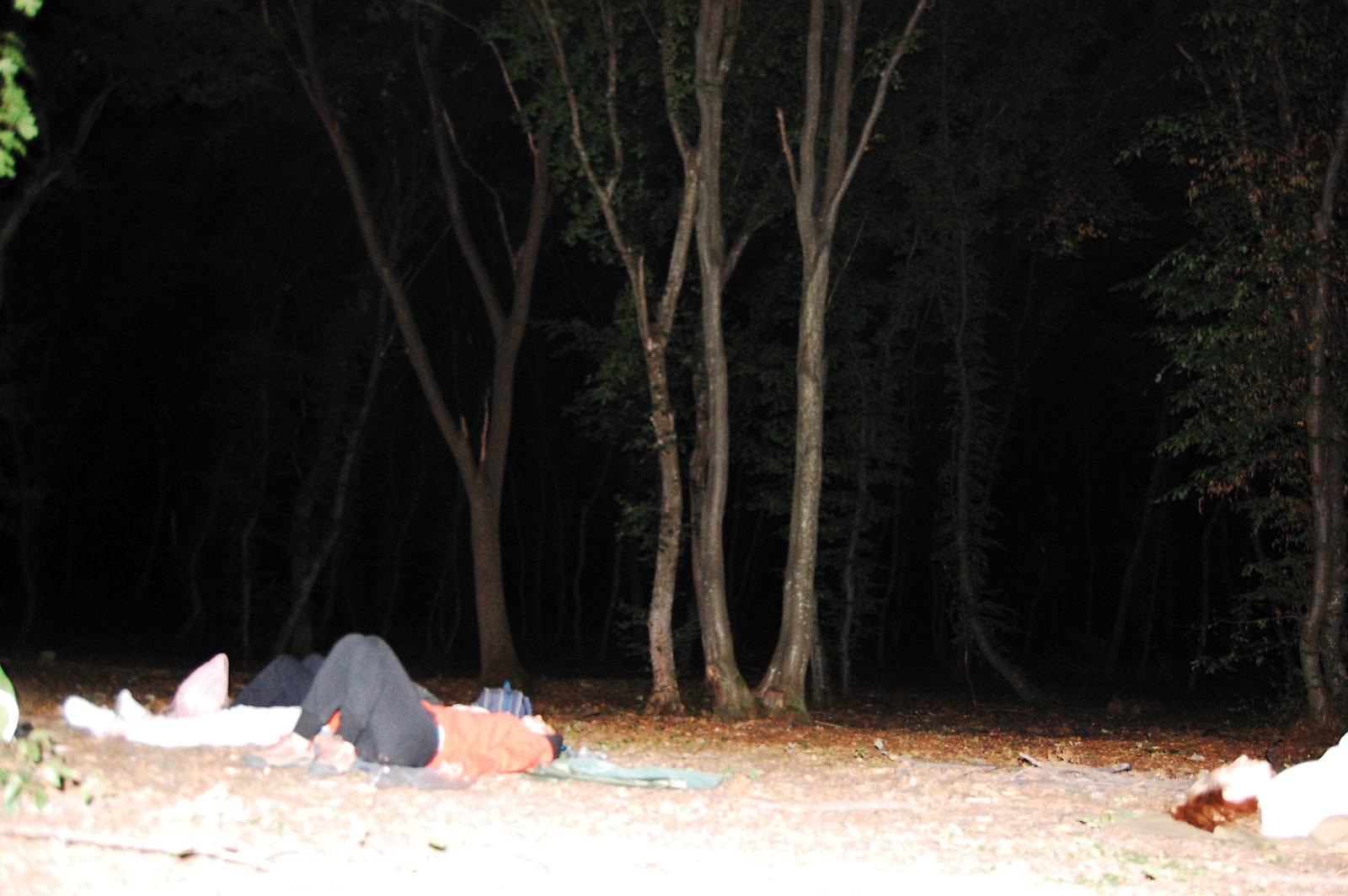 sfatuitoarea: Noaptea în Pădurea Baciu (foto)