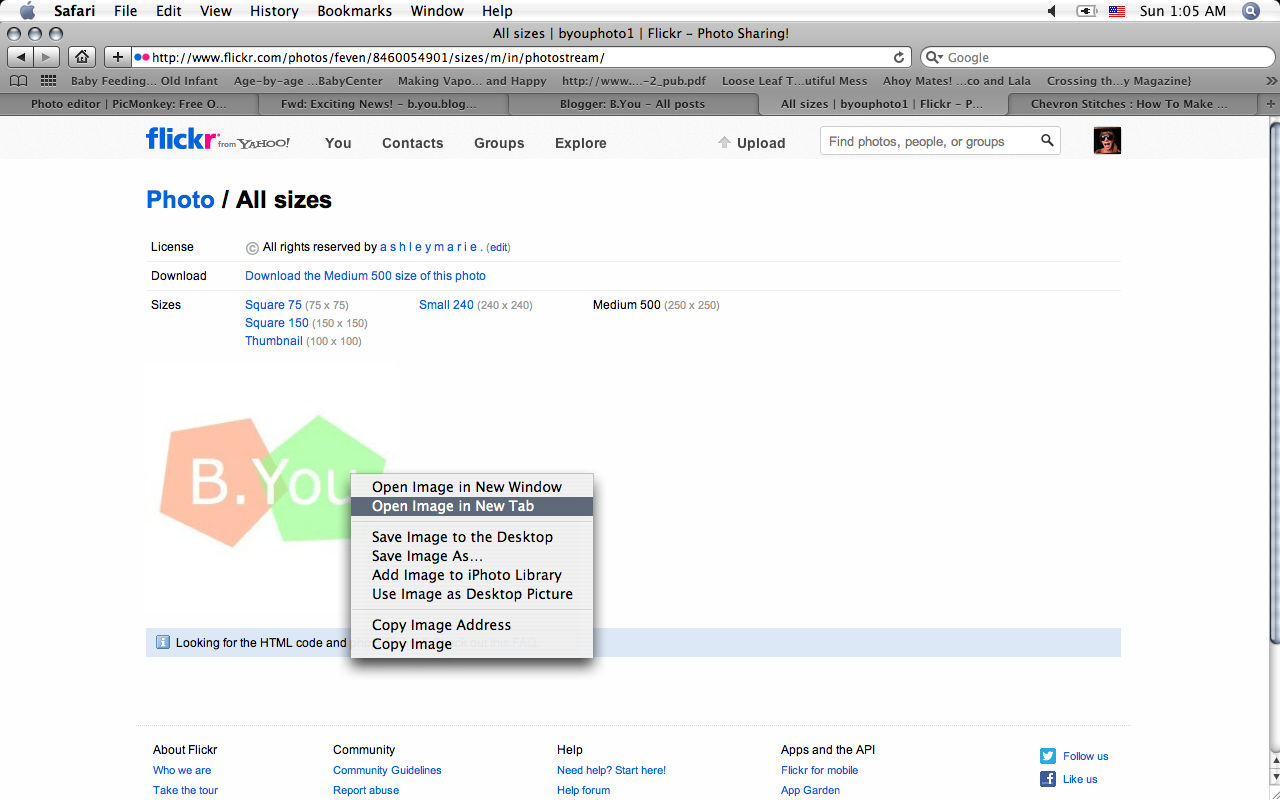 B.You: How To: Make A Blog Button {With Grab Box}