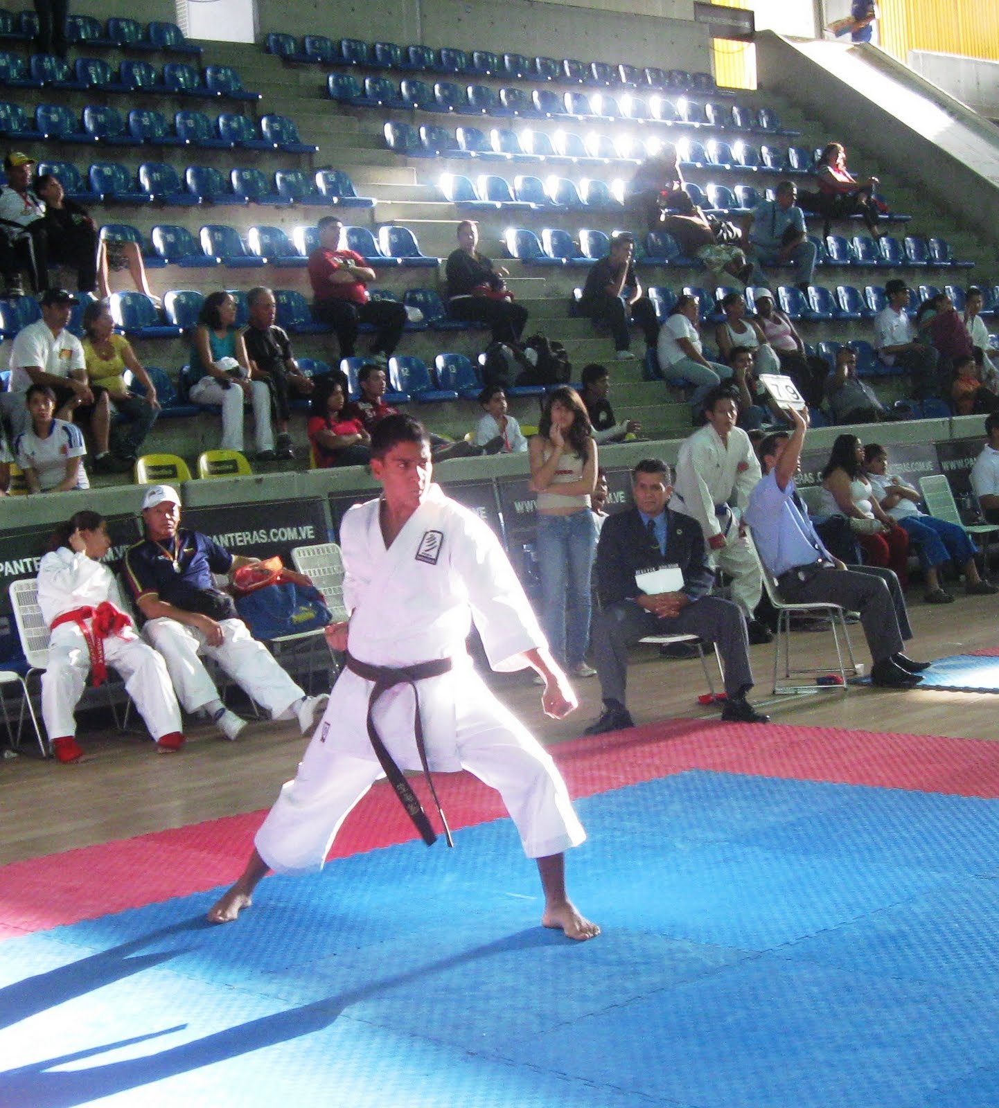 SHOWAKAI KARATE-DO DE VENEZUELA KARATE NO MICHI WORLD FEDERATION ...