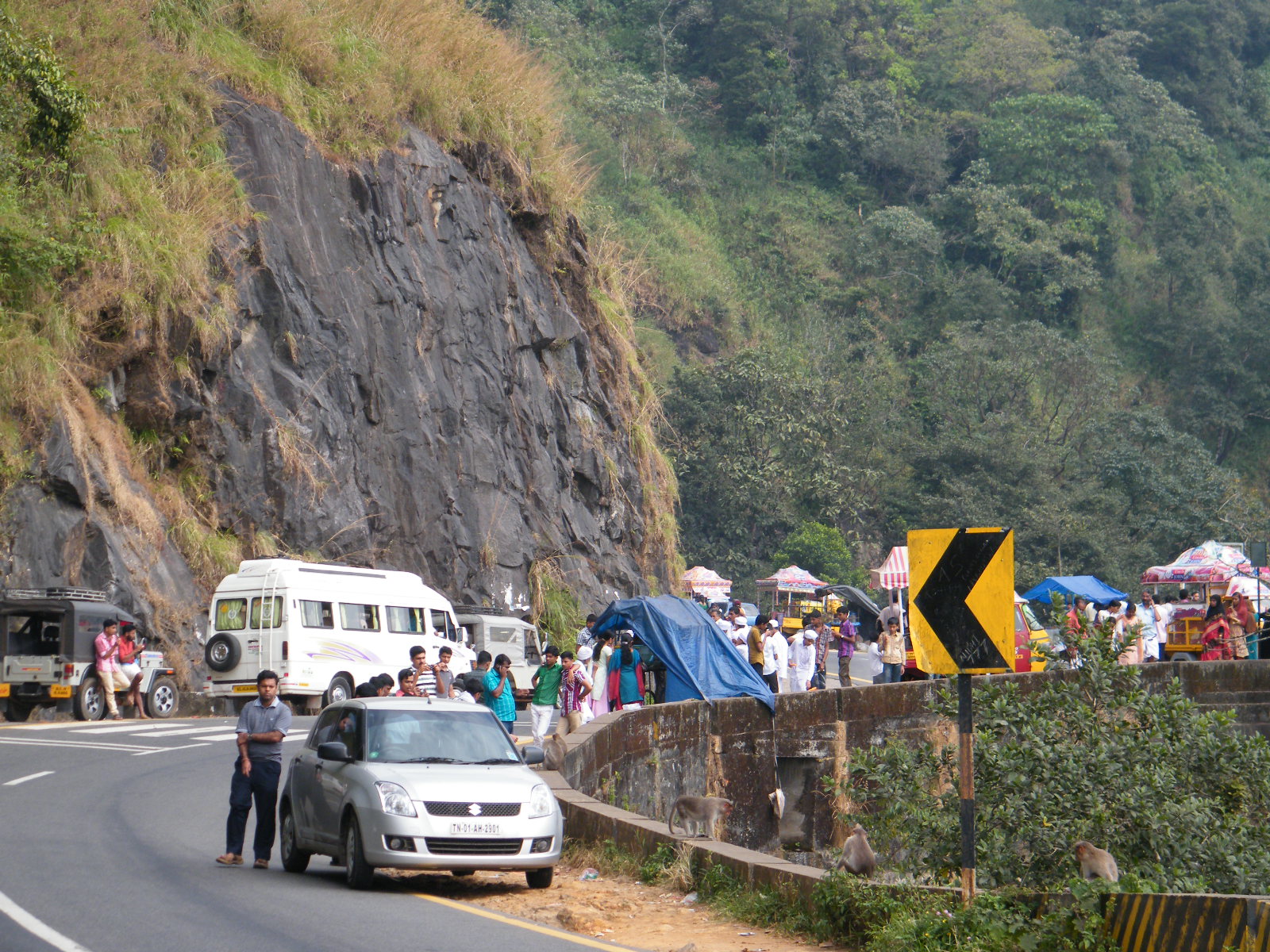 a travel to god's own state KERALA,INDIA: THAMARASSERY CHURAM WAYANADU