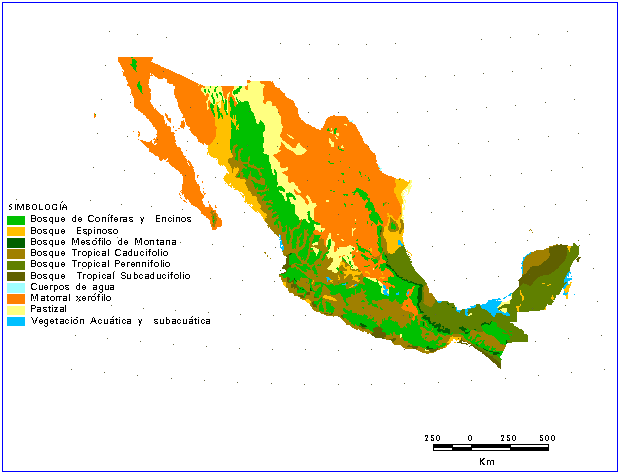 BIODIVERSIDAD DE MÉXICO, CON TODAS SUS MARAVILLAS.