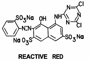 Garments Textile: REACTIVE DYE