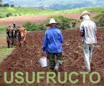 LA LEY EN EL PERÚ: Usufructo