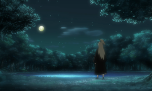 Naruto Shippuden 300 vostfr | GedoManga