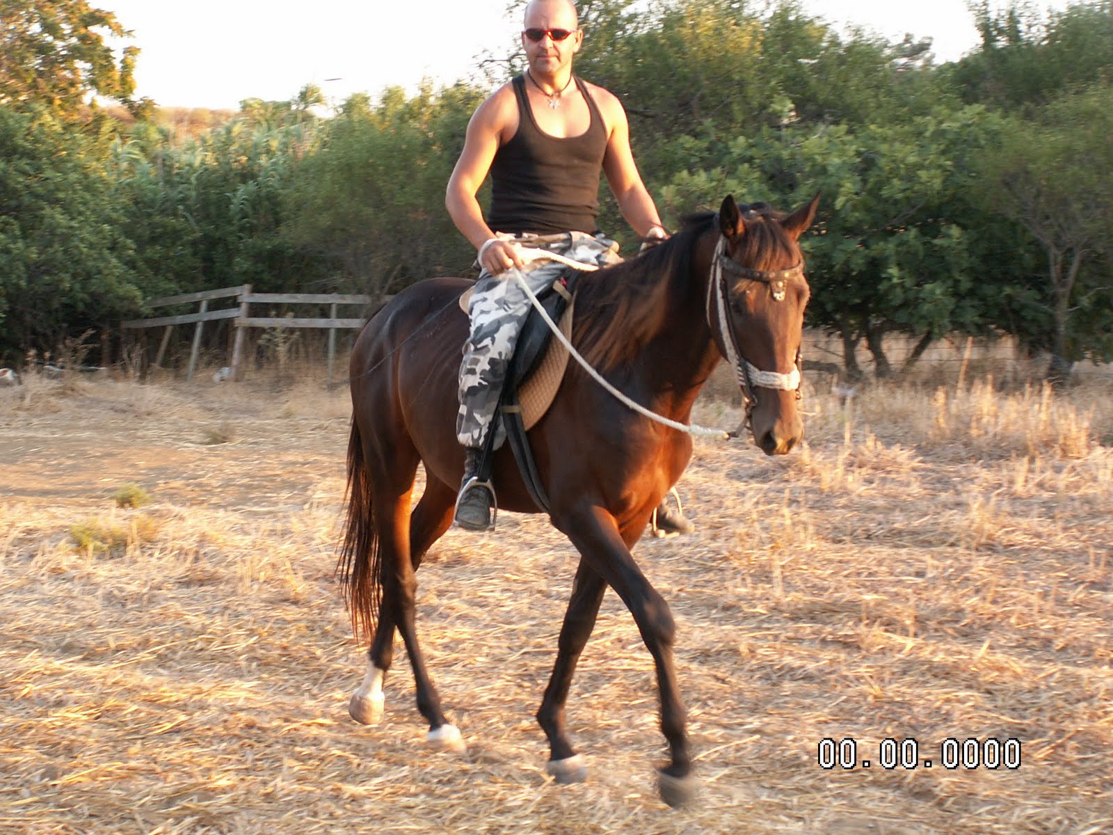 ΜΕΛΙΣΣΟΚΟΜΙΑ ΛΗΜΝΟΥ: ΑΛΟΓΑ ΣΤΟ ΠΟΡΤΙΑΝΟΥ ΛΗΜΝΟΥ ΑΠΟ ΤΗΝ ΟΙΚΟΓΕΝΕΙΑ ΠΟΡΙΑΖΗ
