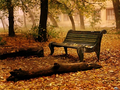 What is the meaning of Autumn? Concept, Definition of Autumn