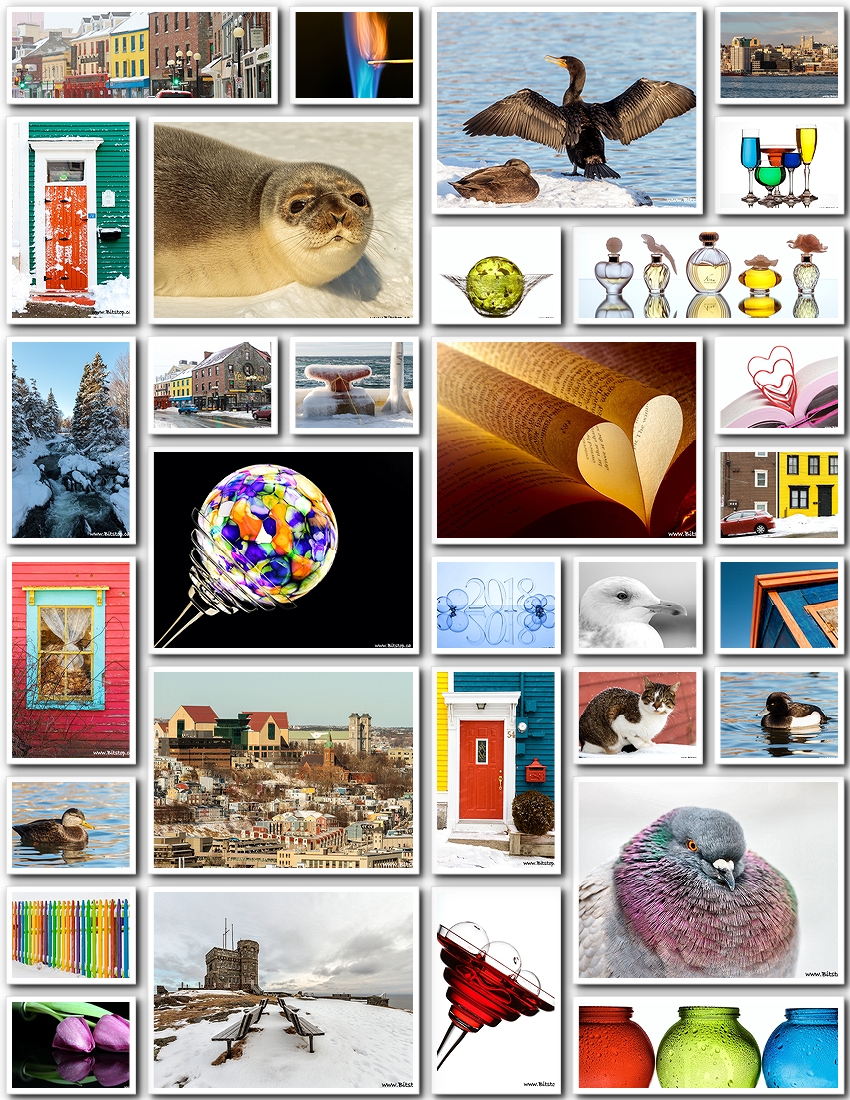 Bitstop: January Collage