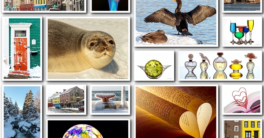 Bitstop: January Collage