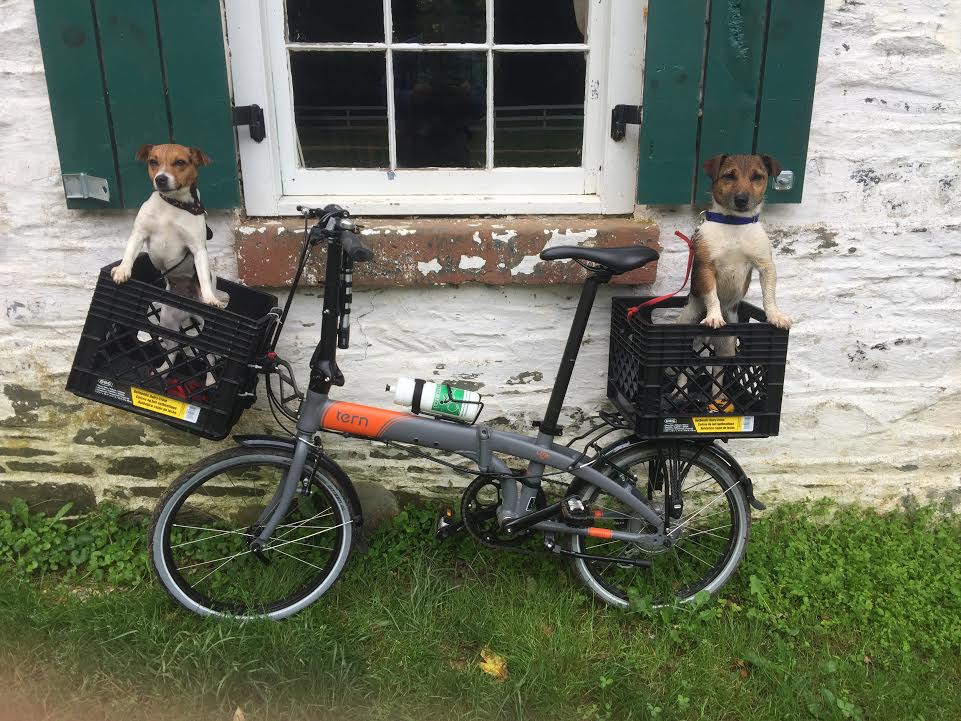 Terrierman's Daily Dose: Folding Bikes May Get a Lot Smaller Fast