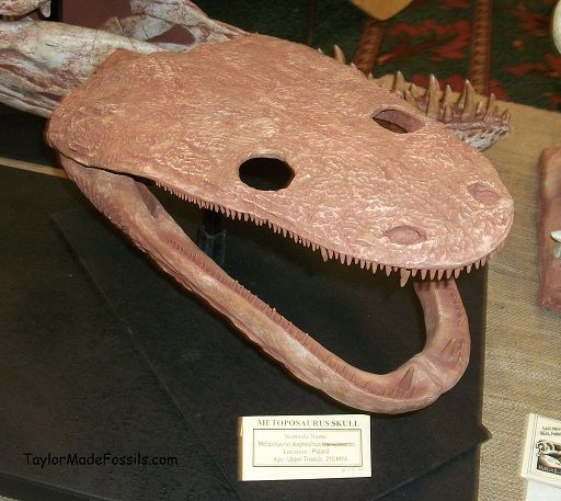 Escenarios prehistóricos: Metoposaurus