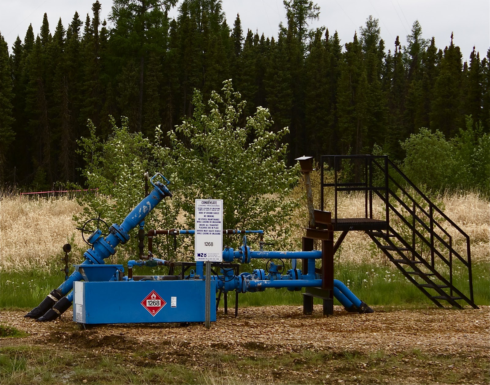 Lance Cardinal Creations: 08/17/12