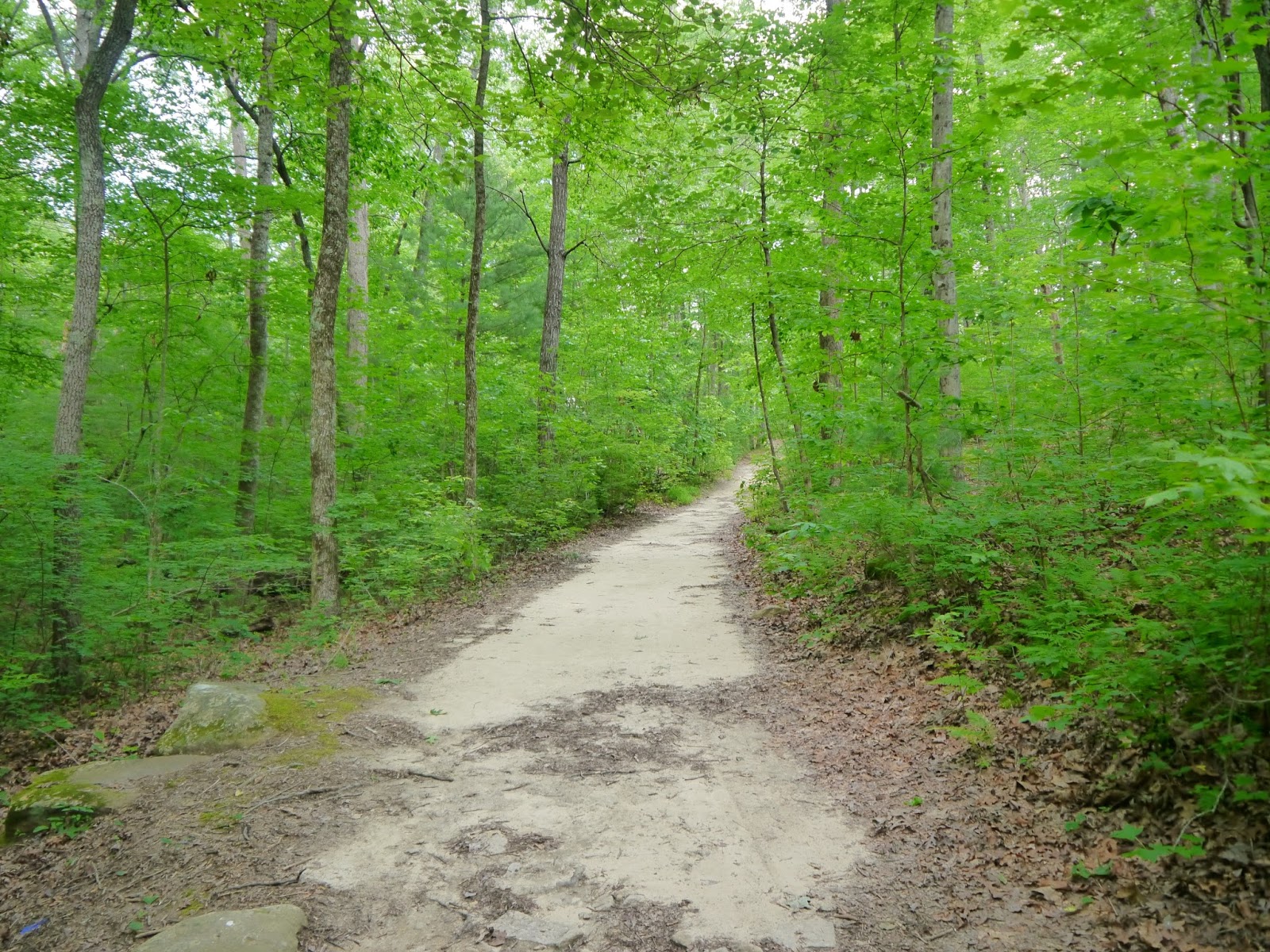 American Travel Journal: Benton Falls - Cherokee National Forest