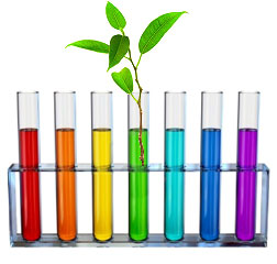 What Liquids Help Plants Grow Best?: Purpose