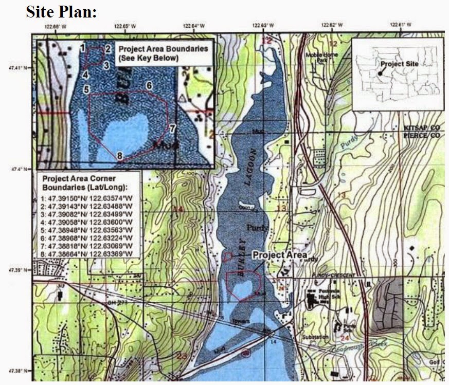Protect Our Shoreline News: Burley Lagoon: Comments on Taylor Shellfish ...