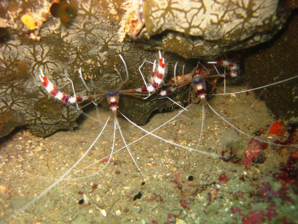 Camille's Samui Info blog: April 2013