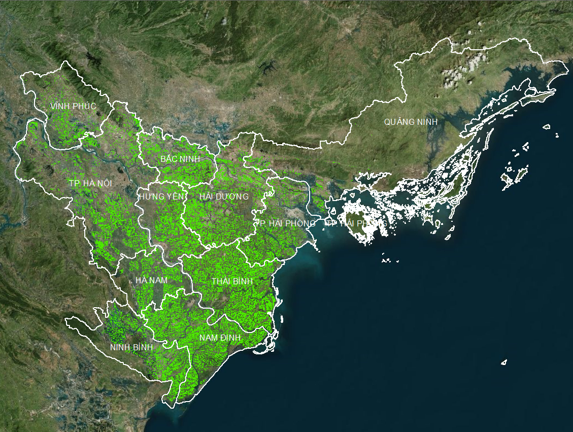 Winter-Spring 2019 Rice Map - Red River Delta - P-GIS