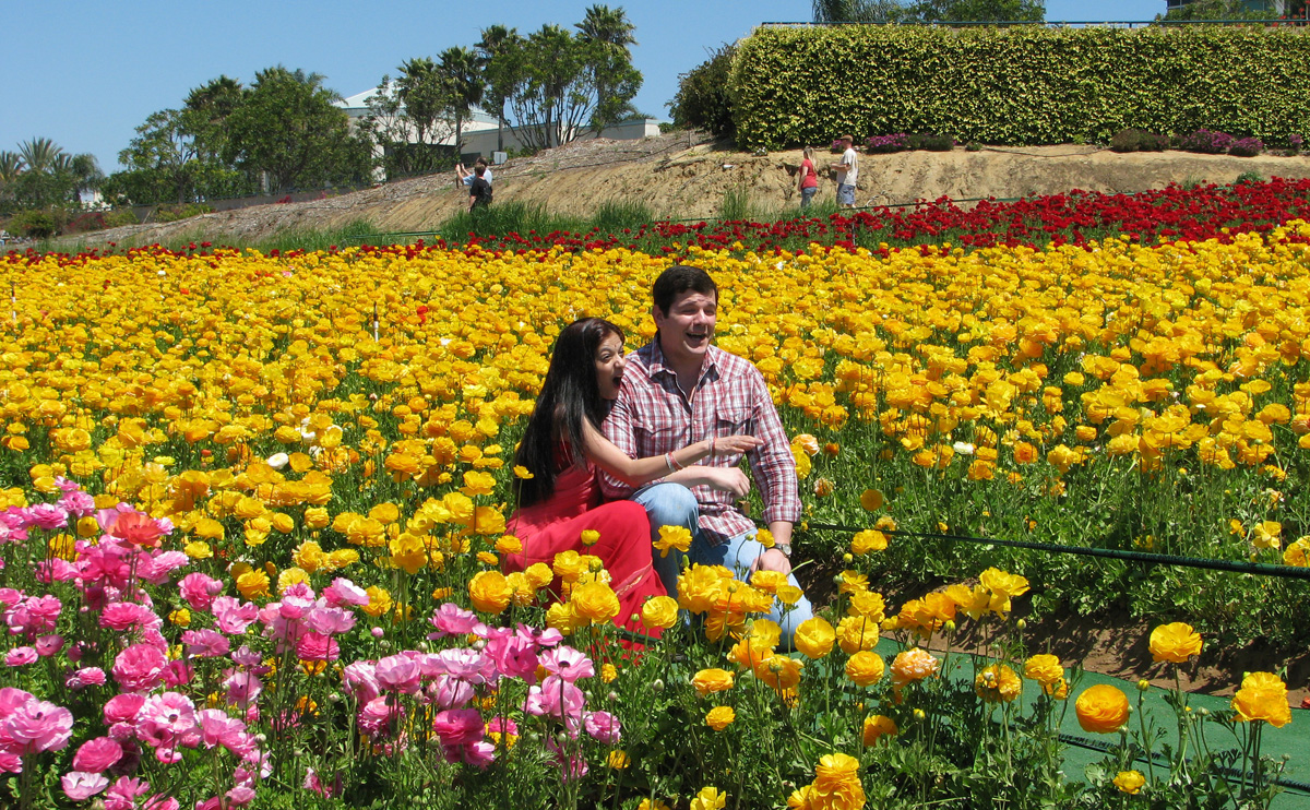 The Bell Curve of Life: Carlsbad Flower Fields - The People
