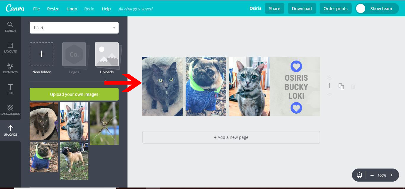 How to create an email header in Canva. | Design Bundles