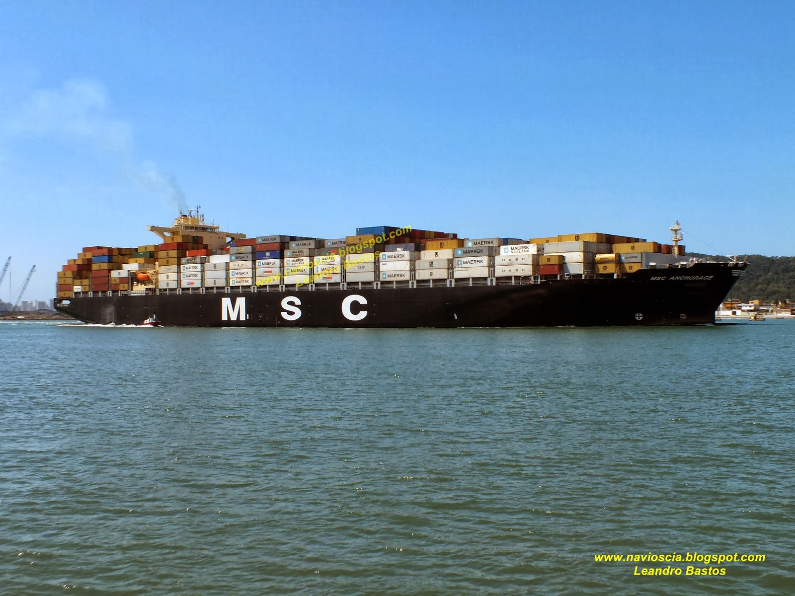 Navios de Santos & CIA: Navio MSC ANCHORAGE