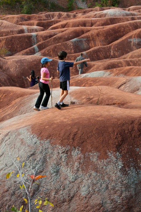 Toronto Fun Places: Fall colours at Cheltenham Badlands