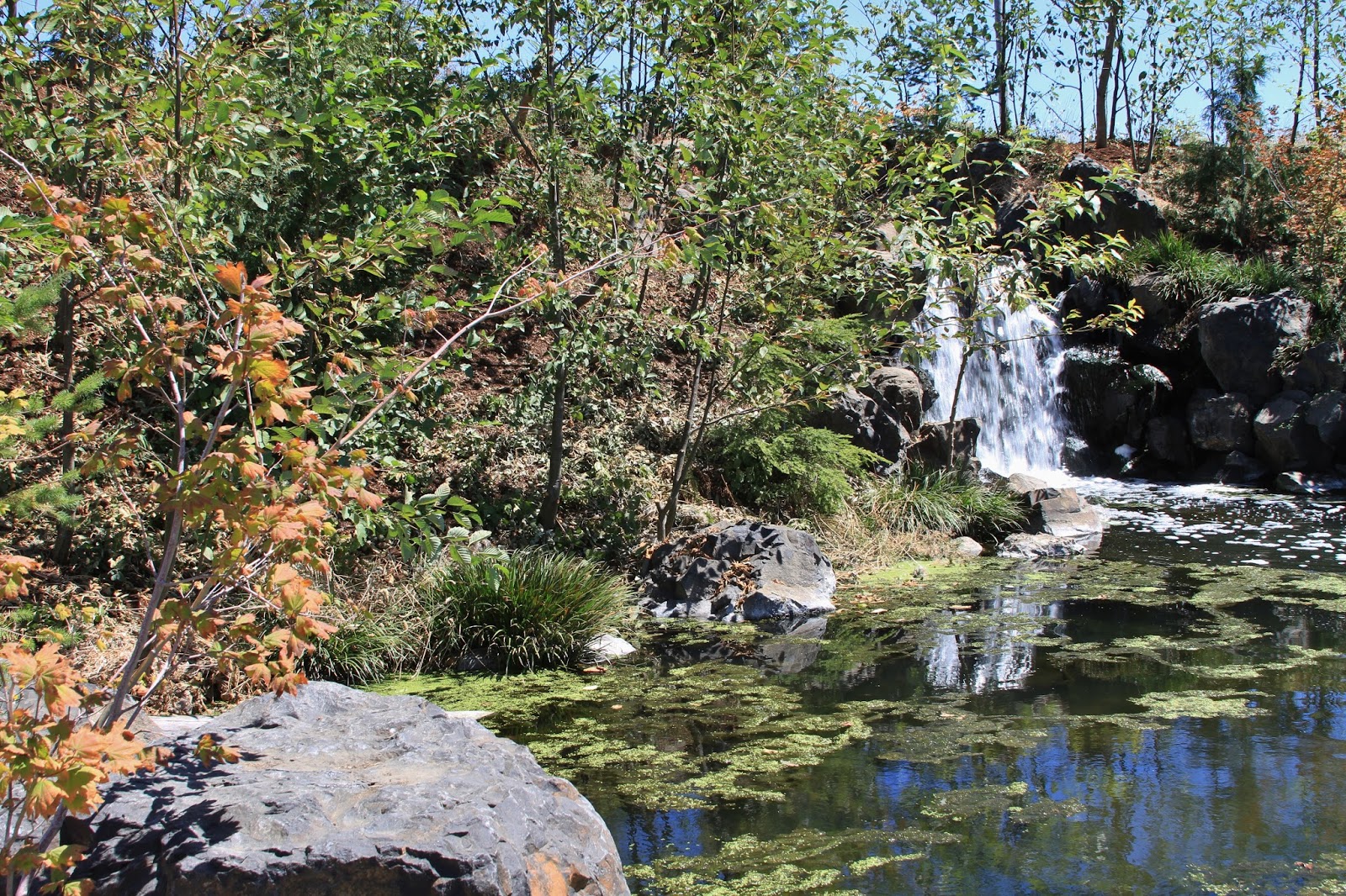 Mid Valley Blogger: Talking Waters Garden Revisited