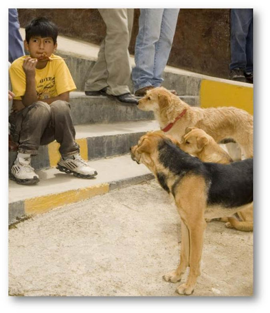 Sarah en Perú: Chillen! Tarma? Ok, wenns sein muss!