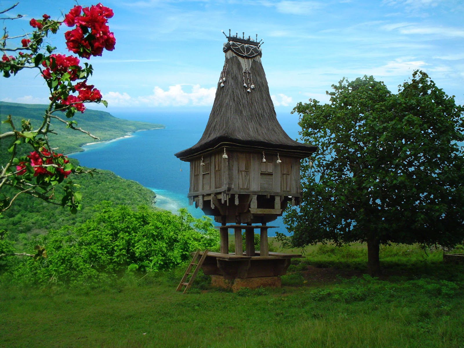 - TIMOR AGORA: Nova galeria de arte Uma Lulik inaugurada com exposição ...