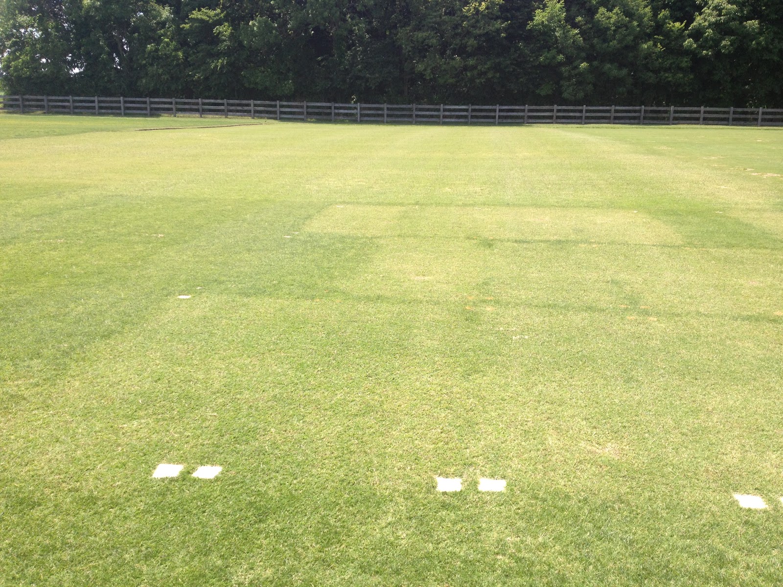 Smart Turf: Midwest Regional Turf Foundation - Purdue University Daniel ...