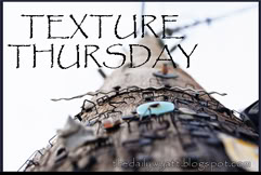 Climbing the Digital Mountain : Genie’s New Still Life Treasures