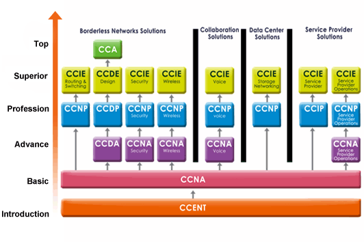 Cisco Hierarchy | Cisco