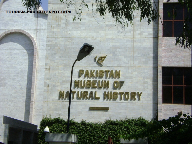 Tourism Pakistan: Pakistan Museum of Natural History