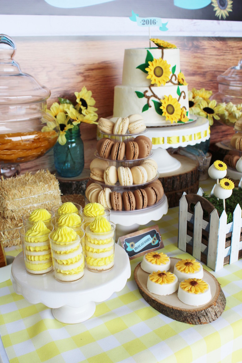 Fawn Over Baby: Country Themed Pre-K Graduation Party By Ashleigh ...