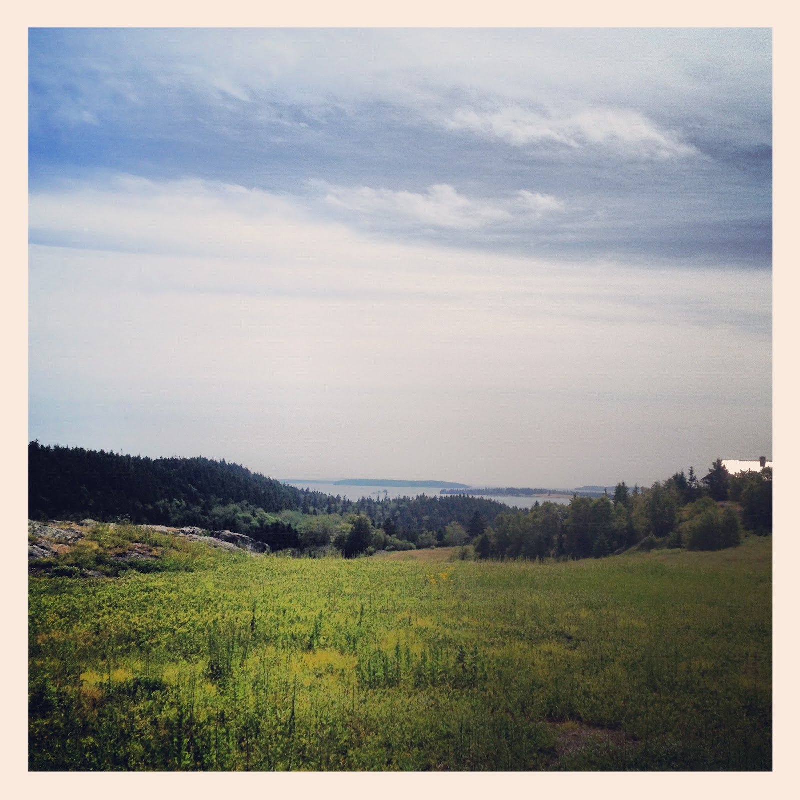 Have You Ever Picked A Carrot?: Wild Maine Blueberries: The King of Fruits